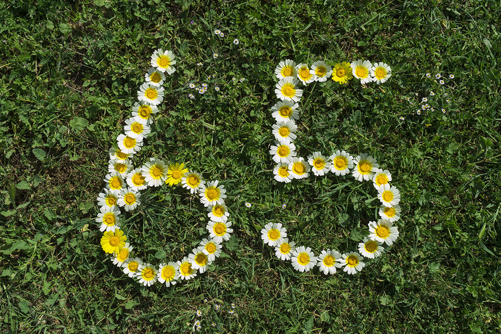 The Great Things About Turning 65 | TerraBella