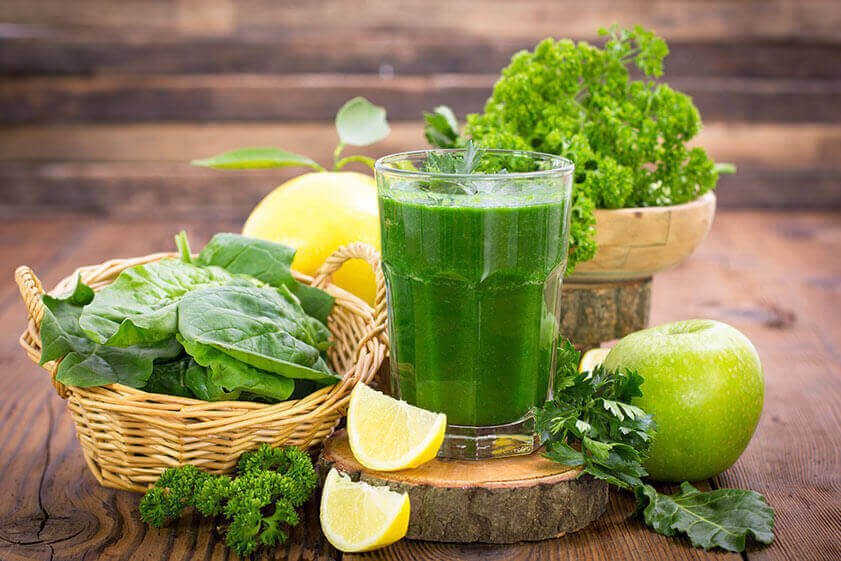 Elderly Nutrition 101: Good Food, Good Life | TerraBella