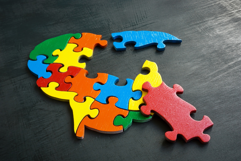 3 Brain-Stimulating Activities To Do In Your Senior Years | TerraBella