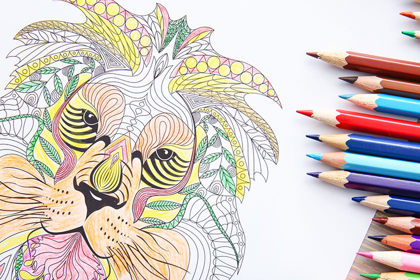 How Doodling Improves Your Aging Memory Health | TerraBella