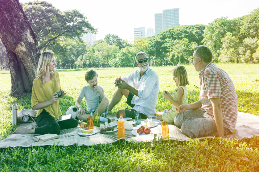 Plan A Local Trip With Your Grandkids To Create Unforgettable Moments ...