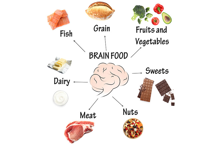 6 Brain Foods To Maintain Seniors' Cognitive Function | TerraBella
