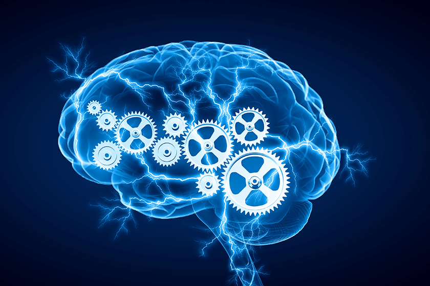 Discovering 8 Facts About Normal Aging Brain | TerraBella