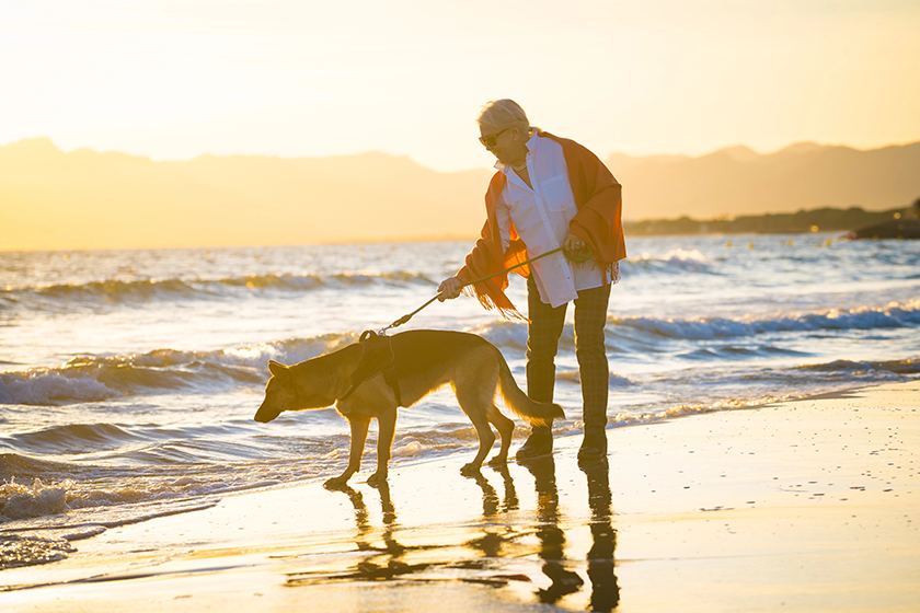6 Exciting Activities For Seniors Who Love To Travel | TerraBella